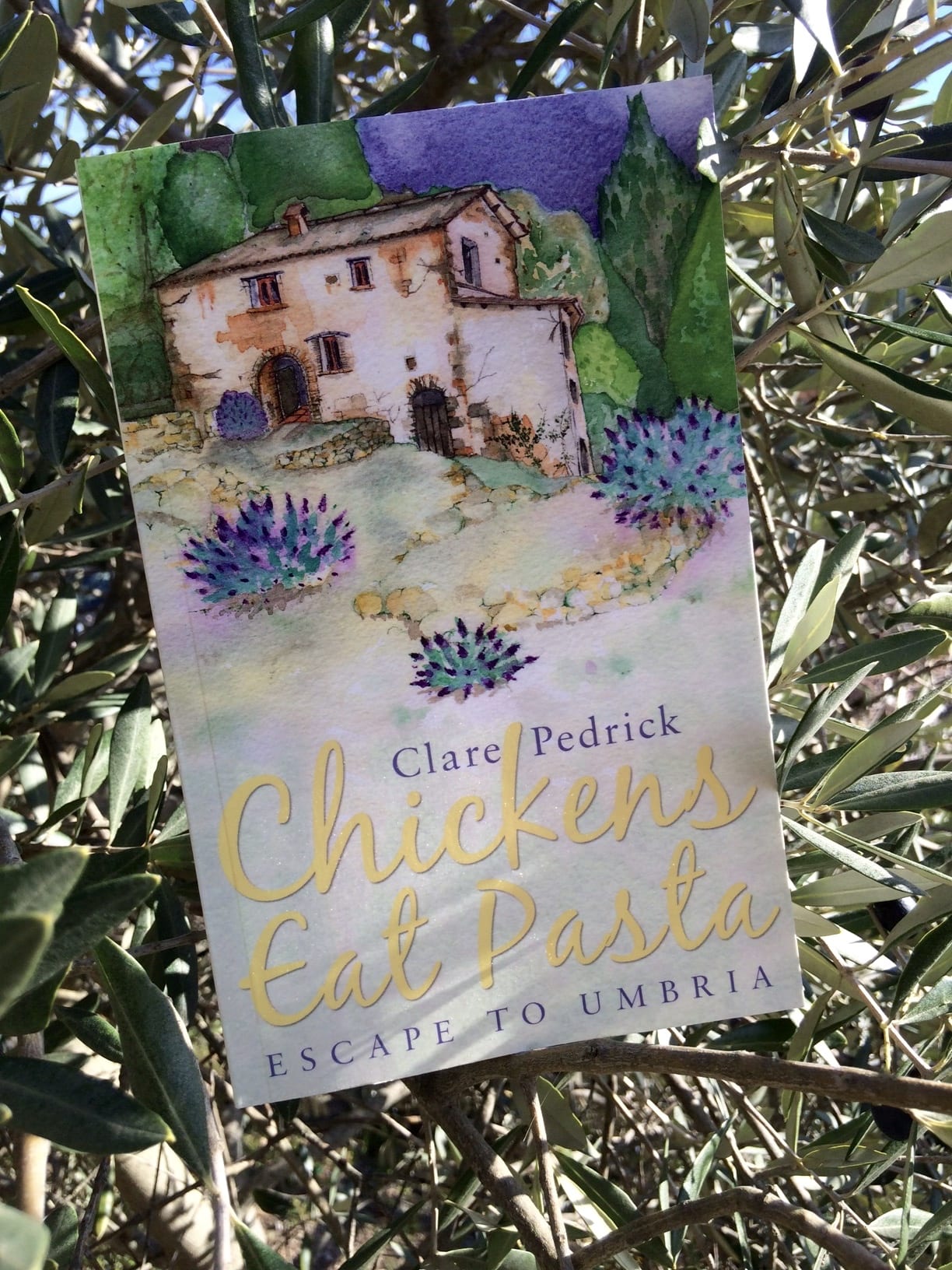 Memoir set in Umbria (un etto* of Italy) Plus we talk to the author ...
