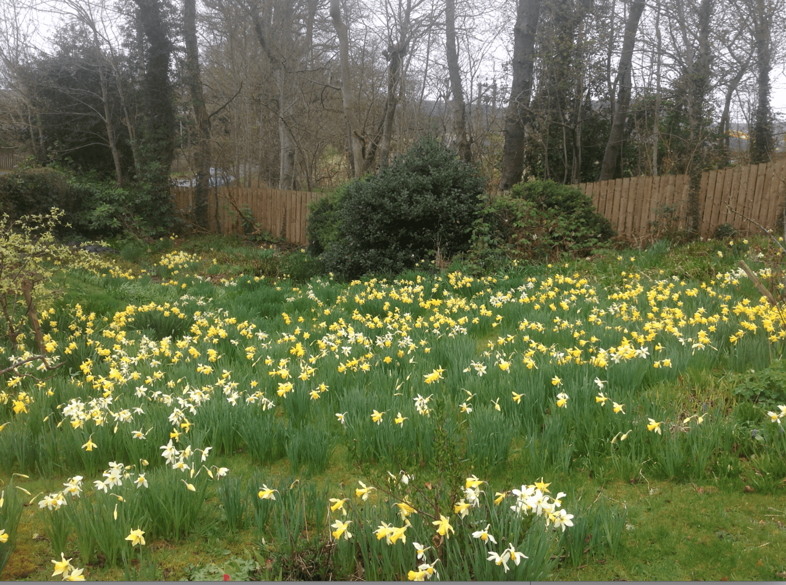 Talking Location With author Moira Forsyth – London and the Scottish ...