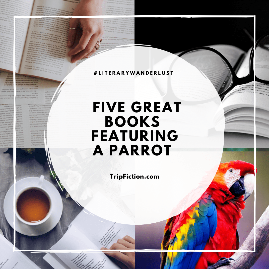 Five Great Books featuring a PARROT Blog | TripFiction