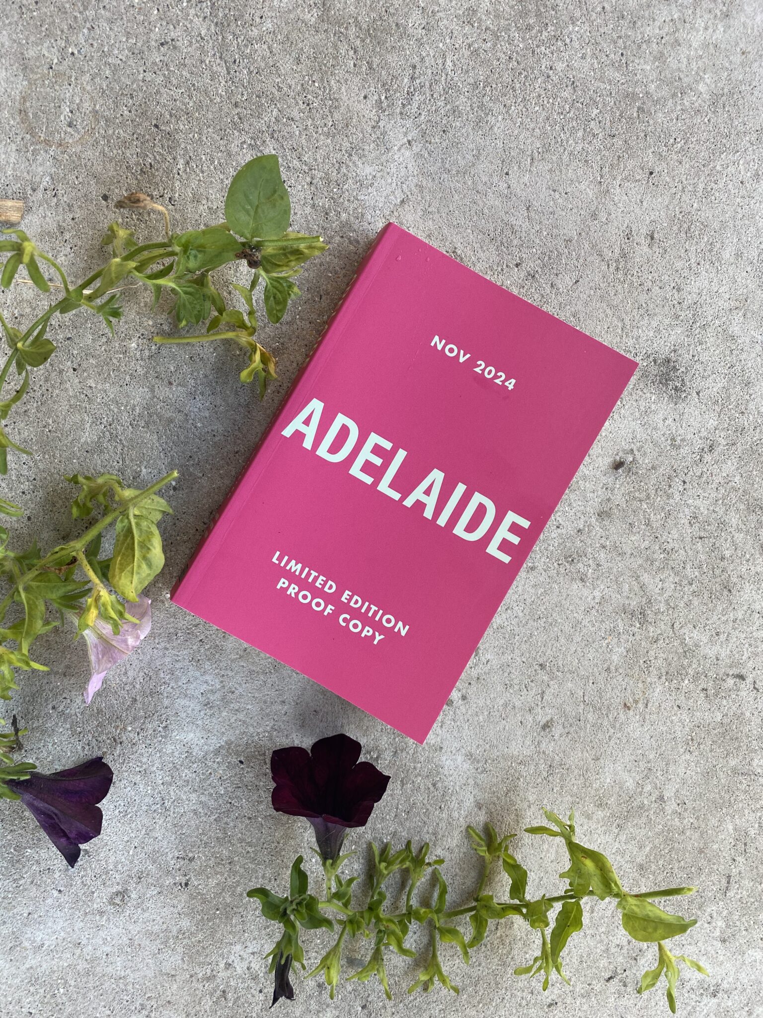 Lead Review (Adelaide) | TripFiction