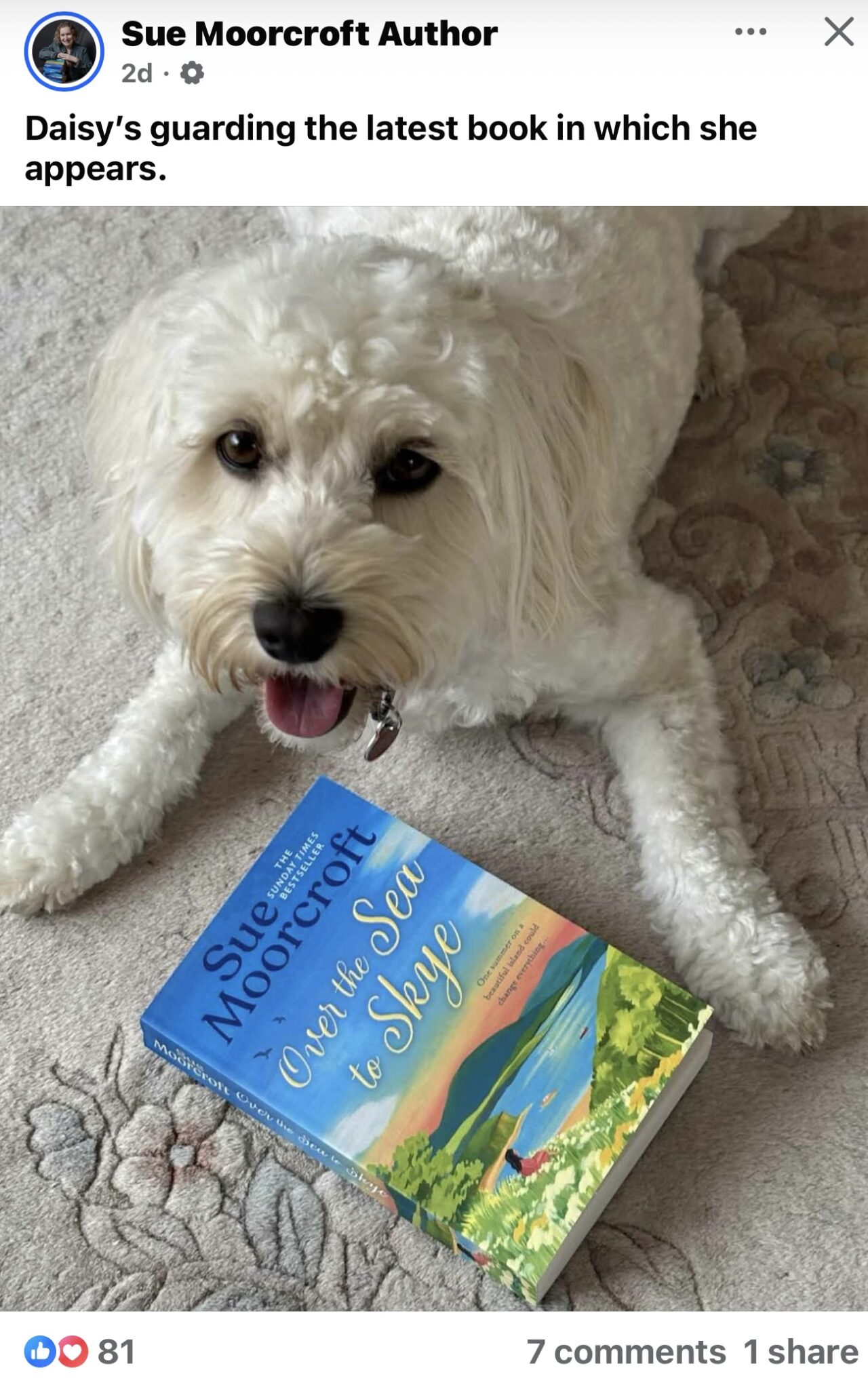 Romance novel set on the Sleat Peninsula, SKYE Blog | TripFiction